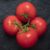 Fresh Organic Foods - Pure Organic Food in Bangladesh